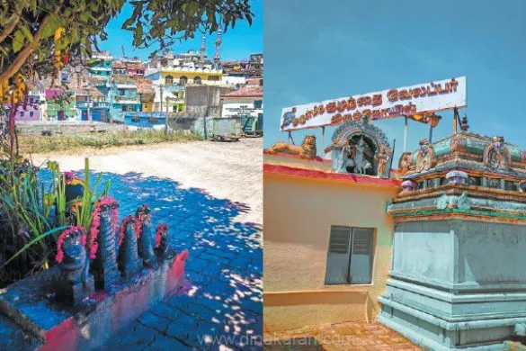 அற்புதங்கள் நிகழ்த்தும் ஆண்டாள் - Dinakaran