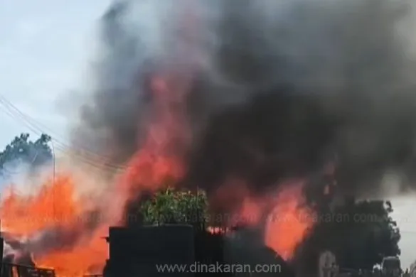 காதல் தம்பதி தற்கொலை - Dinakaran